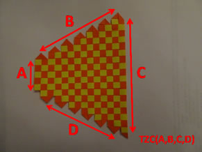 Diverticiencia - Papel Entrelazado